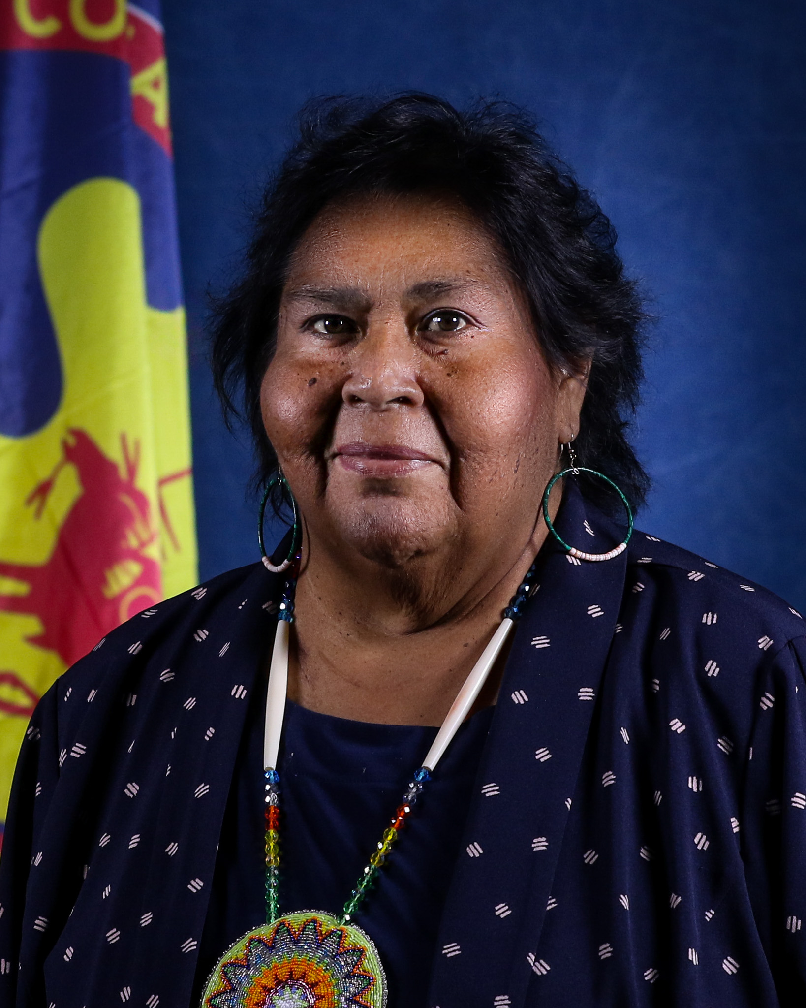 About – Comanche Housing